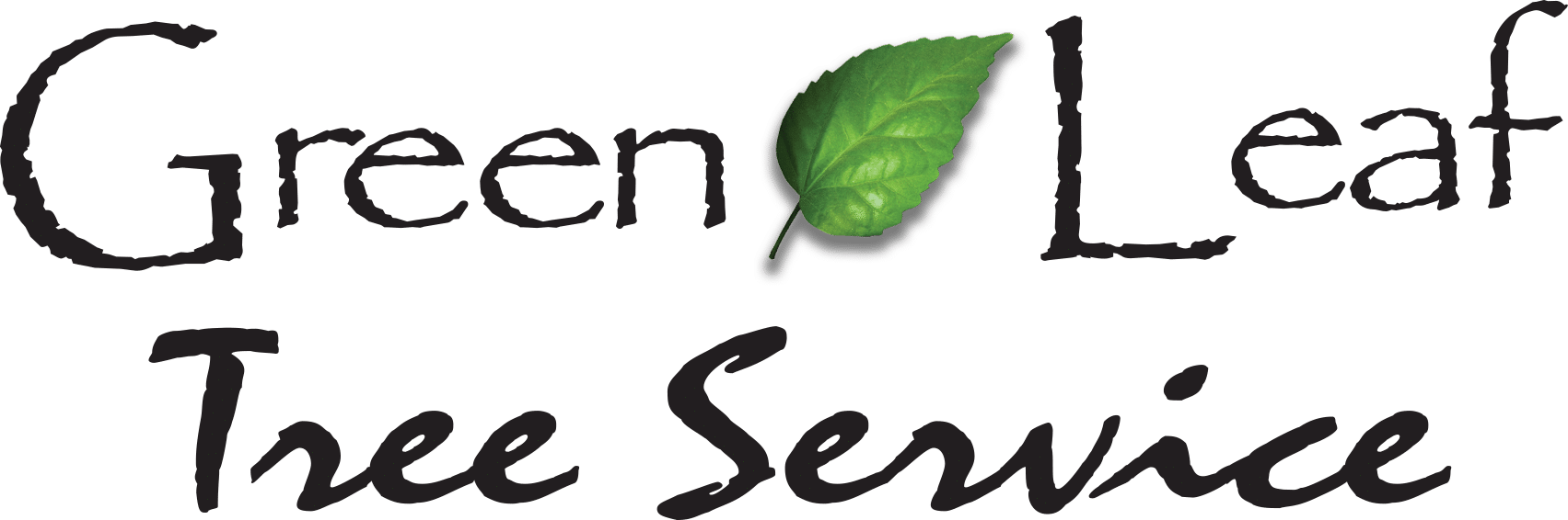 Tree Pruning and Removal | Debris Hauling | Green Leaf Tree Service