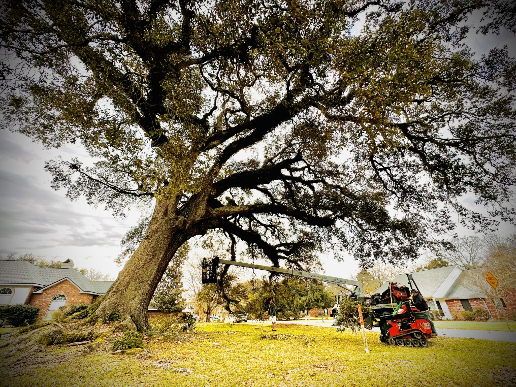 About Us | Green Leaf Tree Service